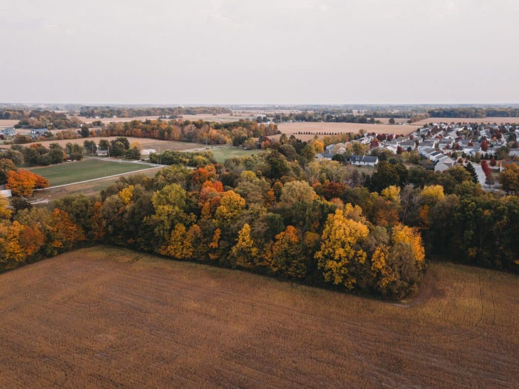 Meth Addiction Recovery and Treatment in Indiana | Evolve Indy